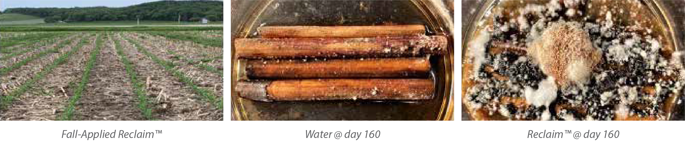 Reclaim — Direct Enterprises Inc.