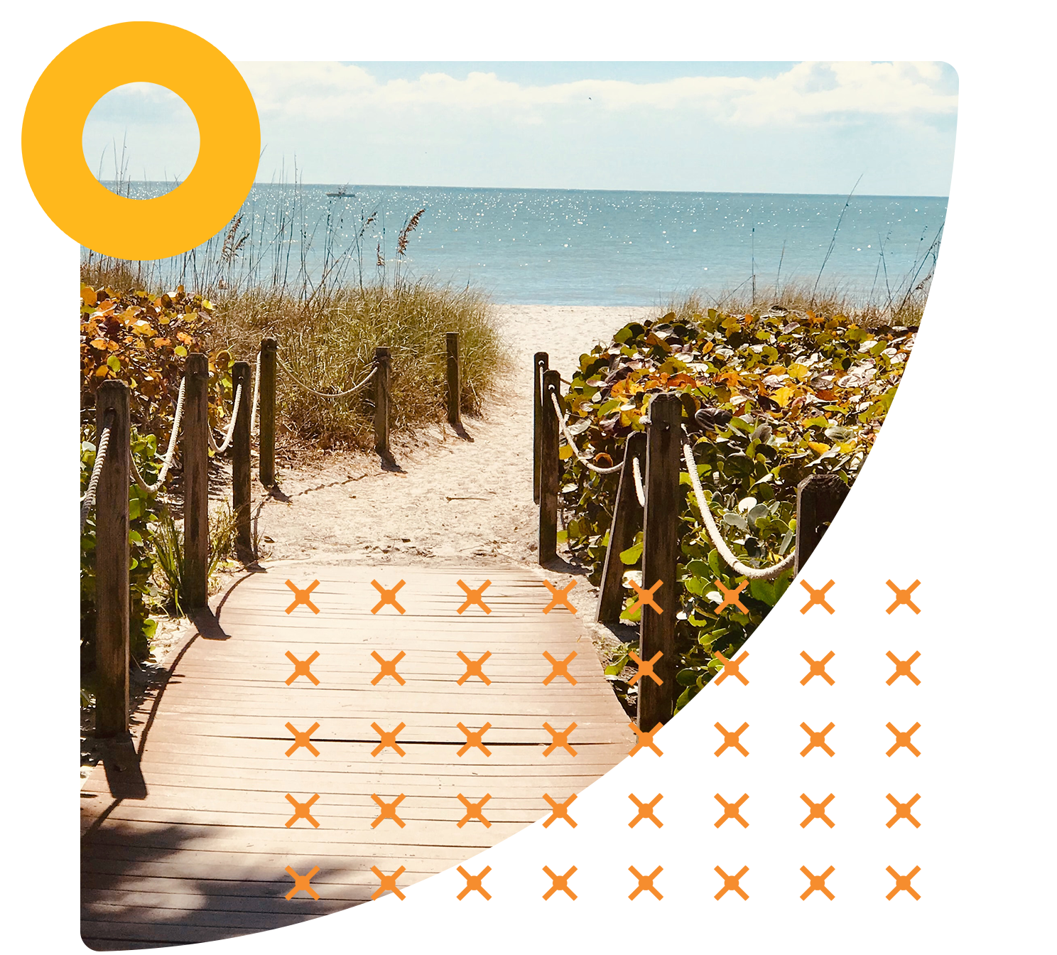 Orange Insurance Exchange | Florida Homeowners Insurance and More