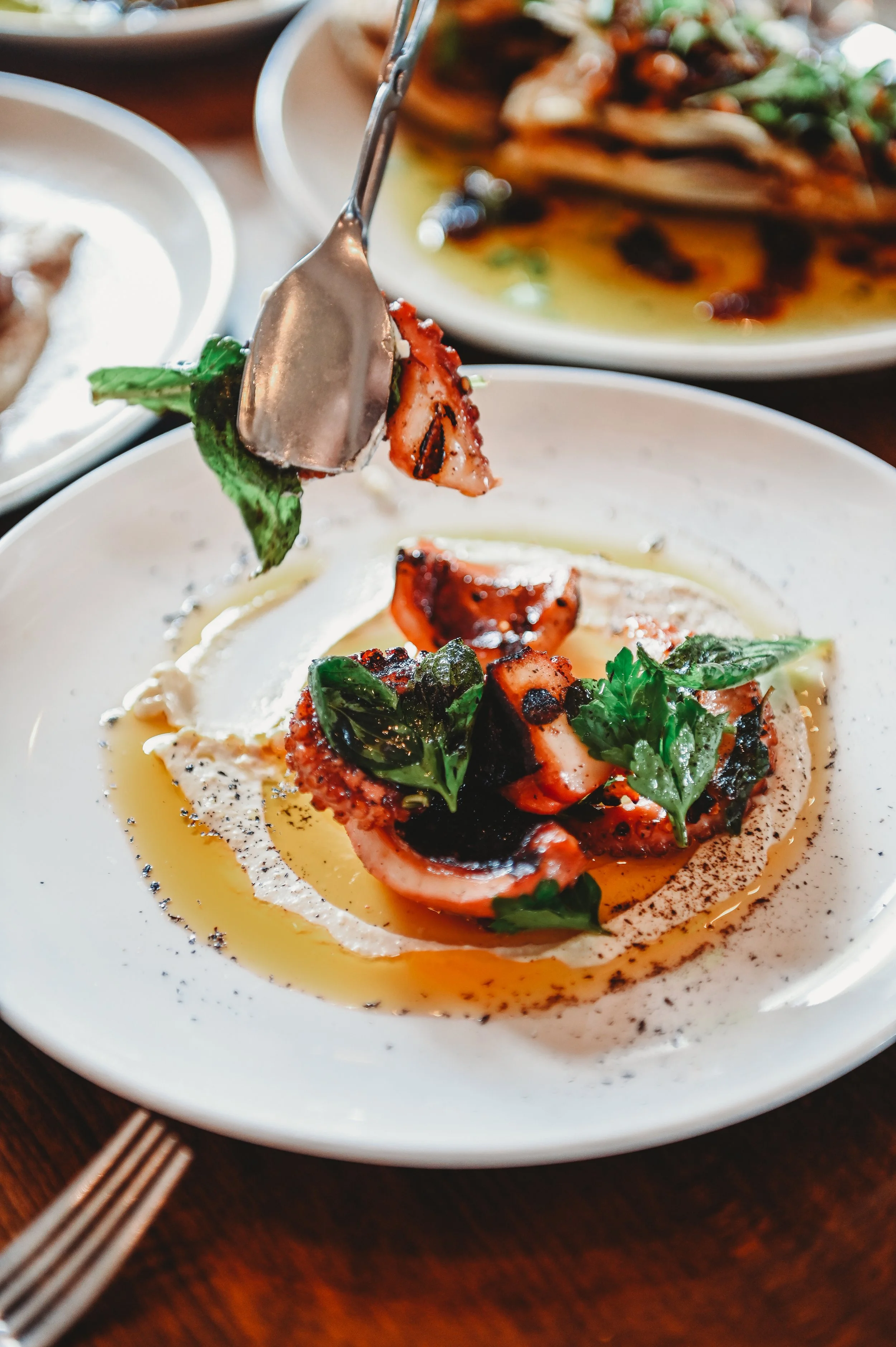 Banksia Orange | Premier Culinary Destination and Event Space | NSW