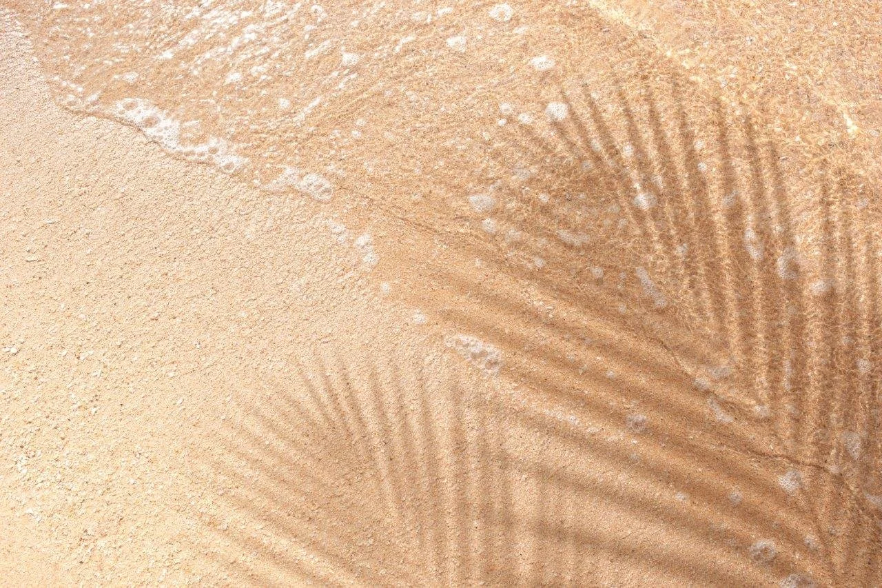 Beach Law | Expert Legal Advice