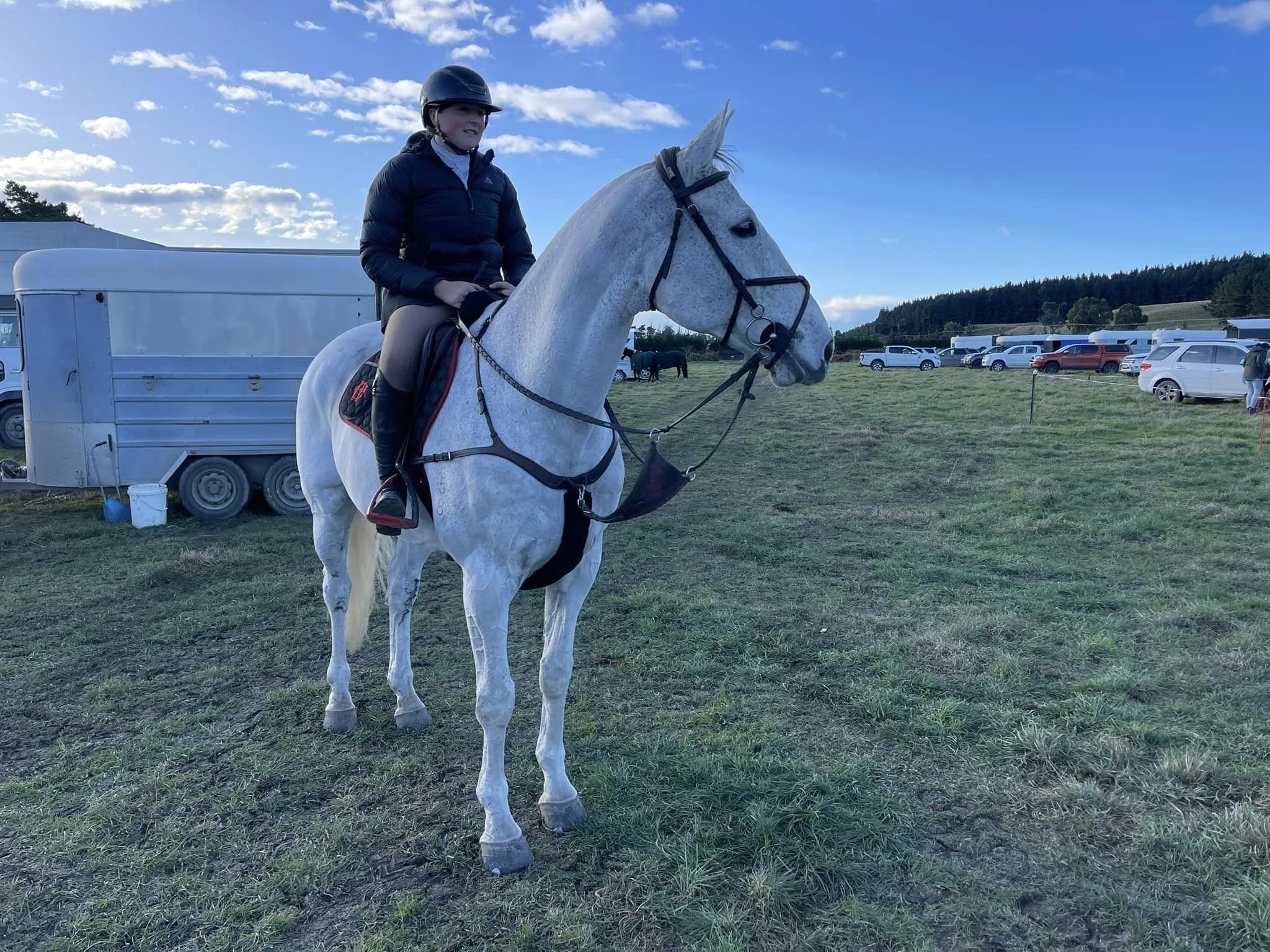 About Driftwood Sport Horses | Canterbury — Driftwood Sport Horses