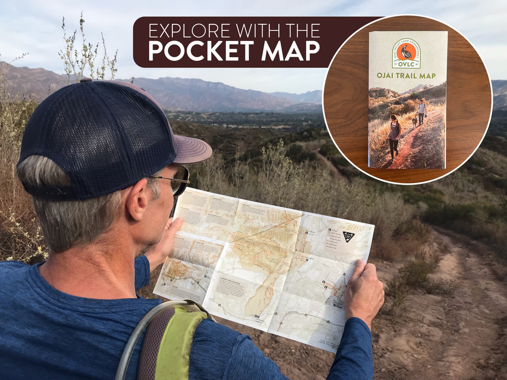 Take a Hike | Discover & Conserve Today — Ojai Valley Land Conservancy