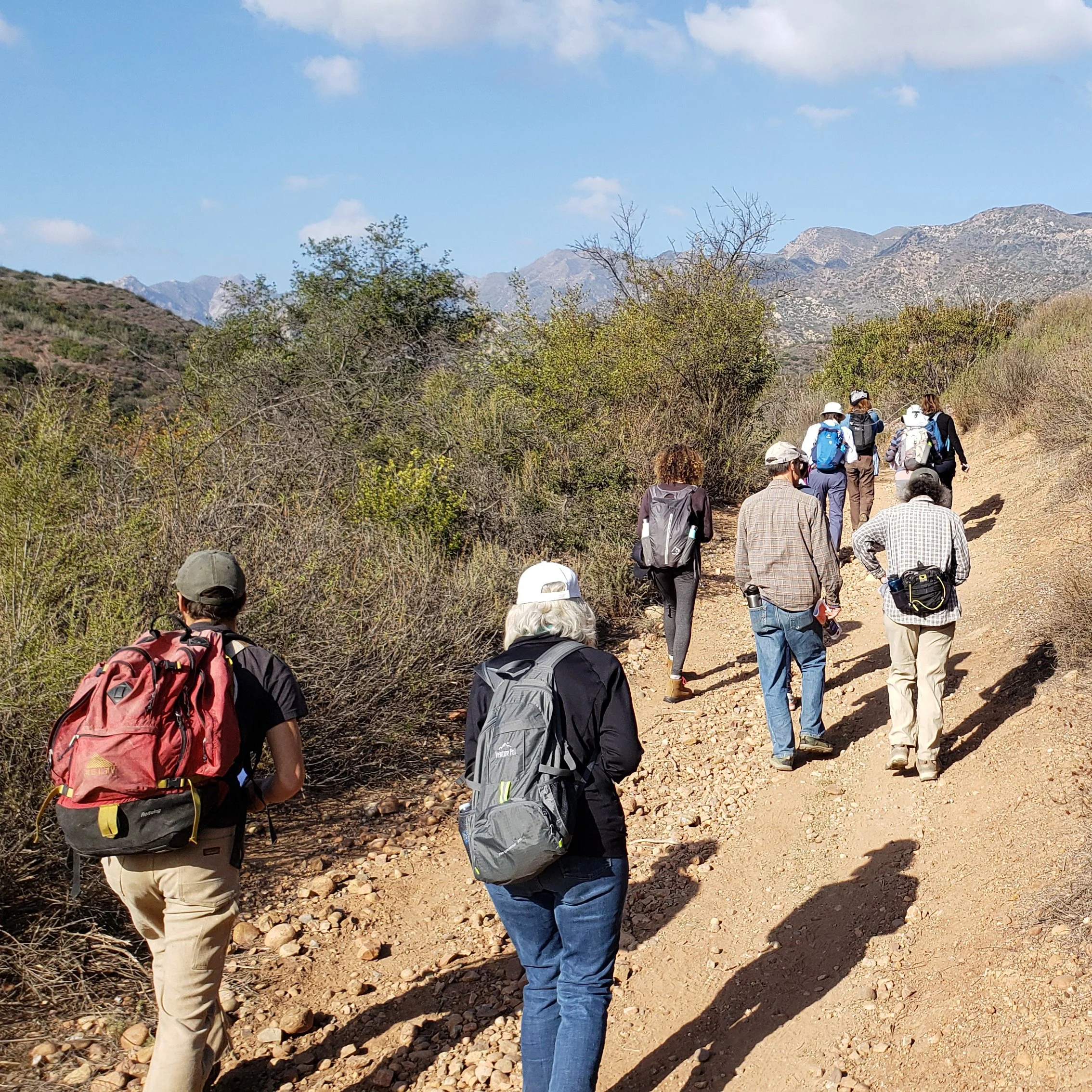 Take a Hike | Discover & Conserve Today — Ojai Valley Land Conservancy