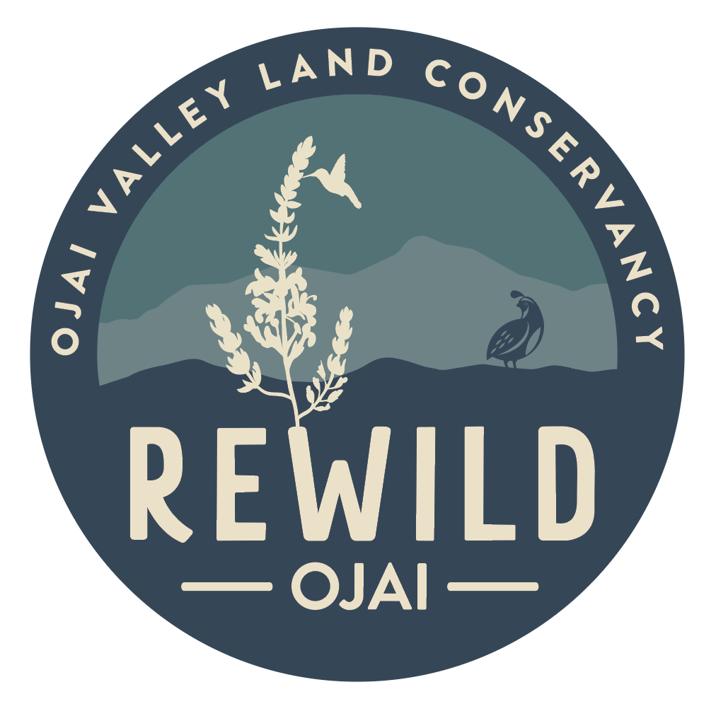 REWILD — Ojai Valley Land Conservancy