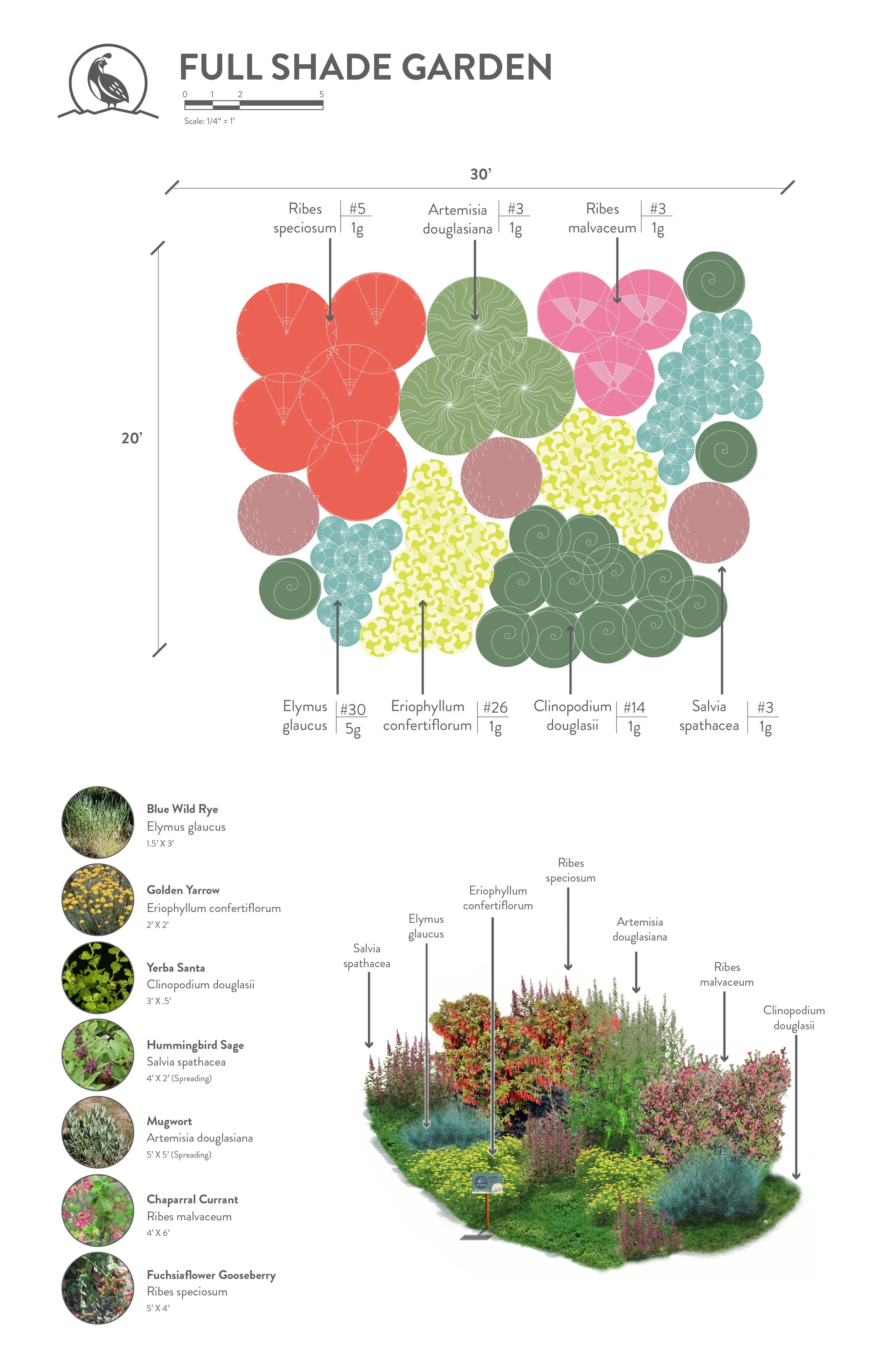 Full Shade Plan — Ojai Valley Land Conservancy
