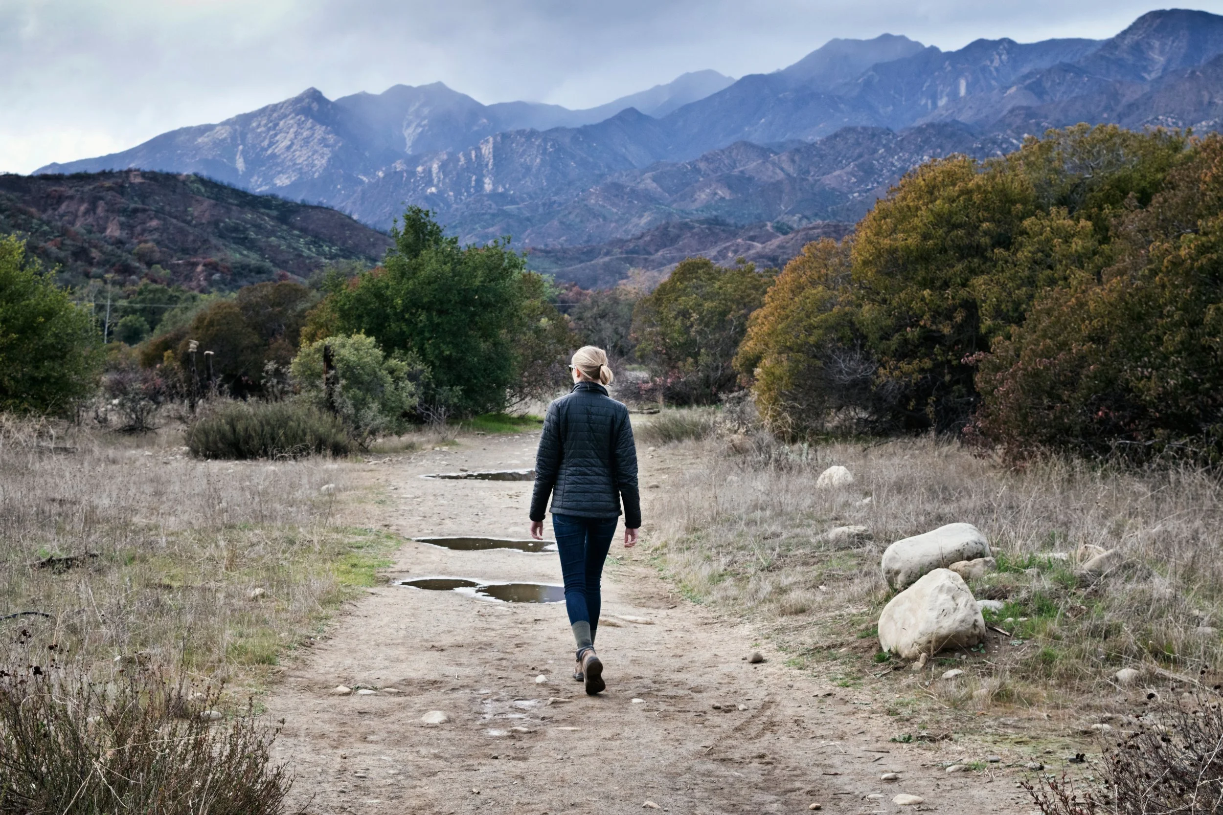 Ojai Meadows Preserve — Ojai Valley Land Conservancy