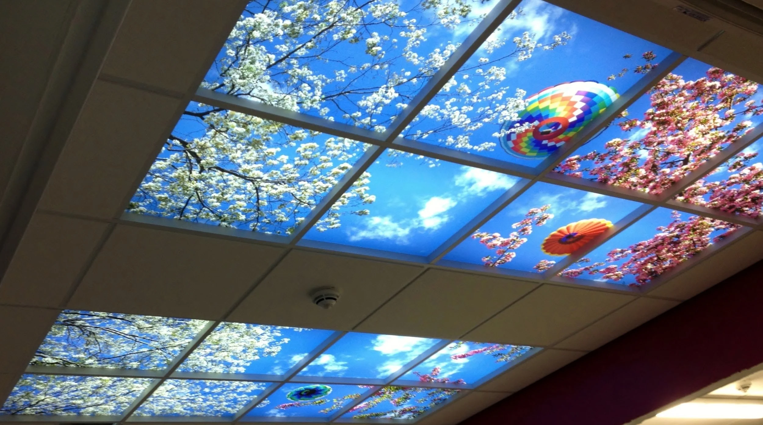 LED windows providing light and nature in windowless rooms — Sky Inside ...