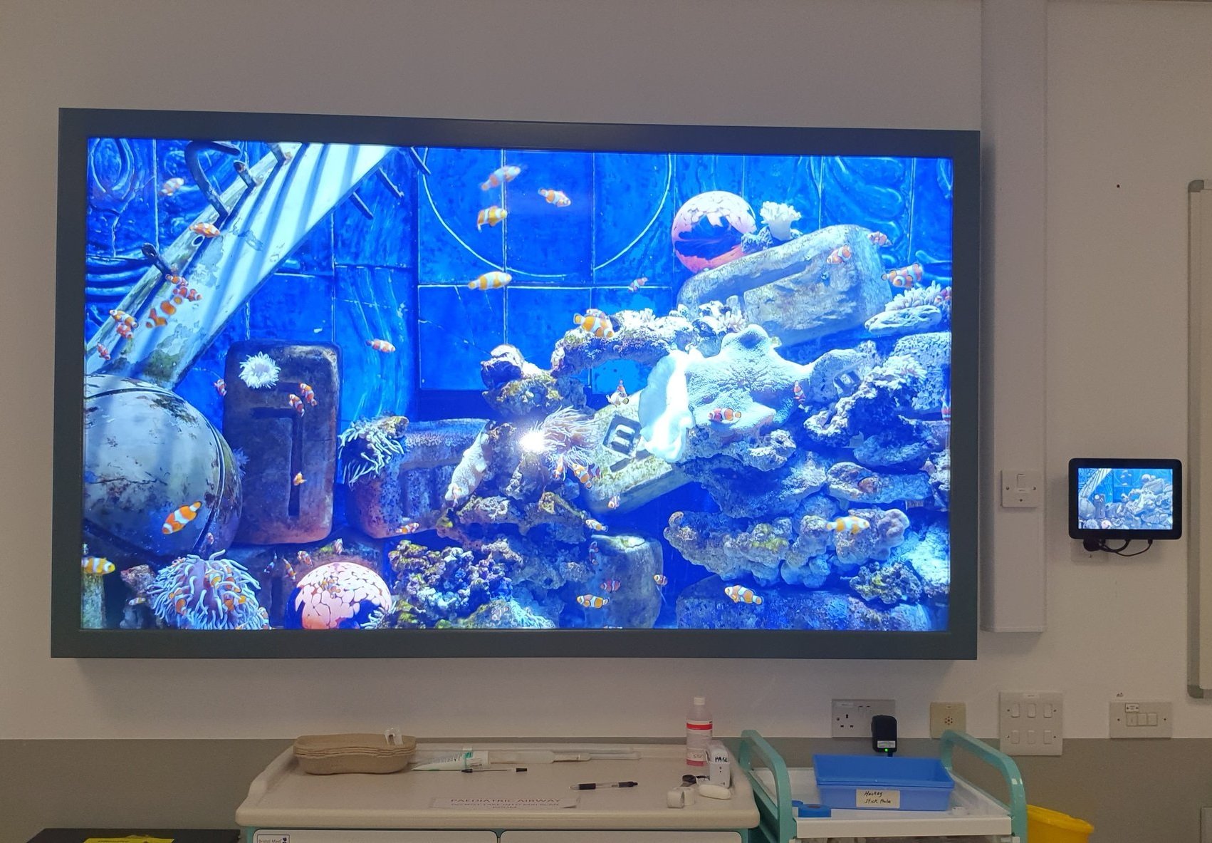 Digital displays that mimic windows and skylights make it possible to ...