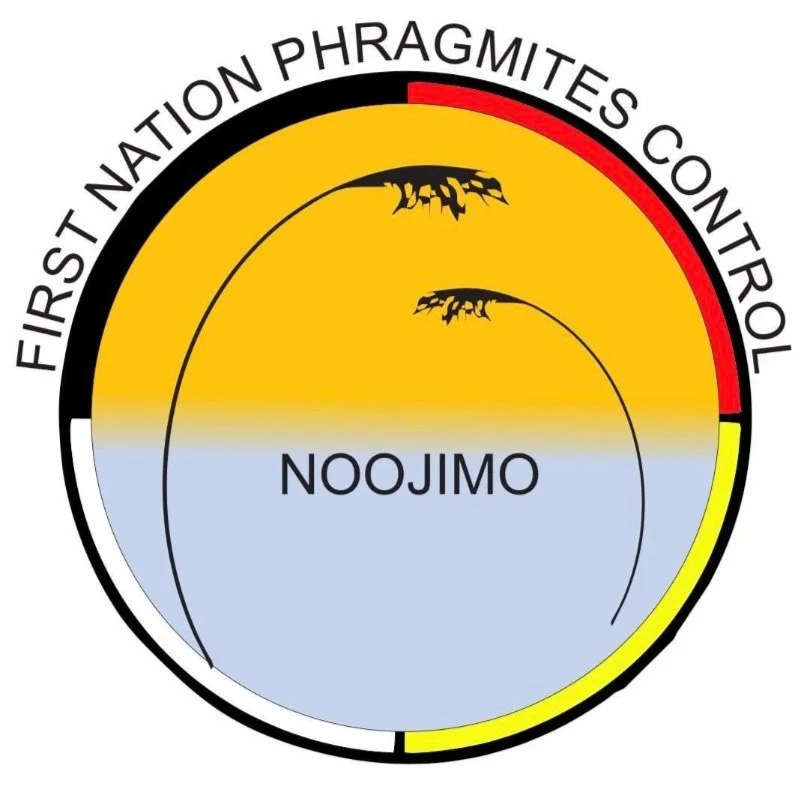 First Nation Phragmites Control