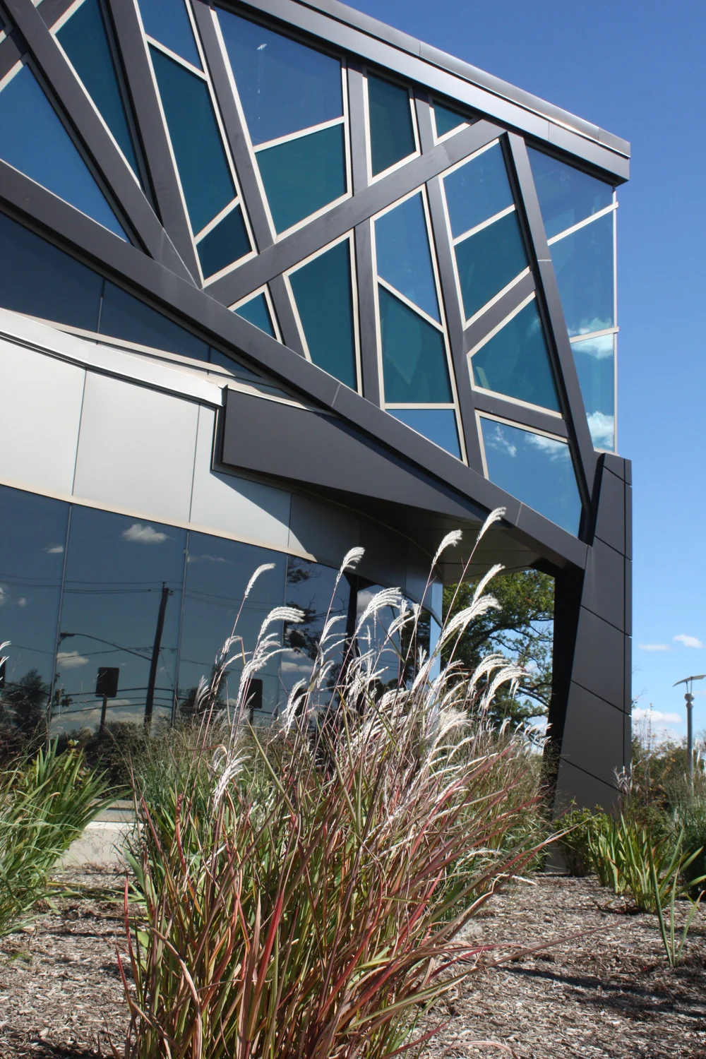 William Seneca Building — Carmina Wood Design