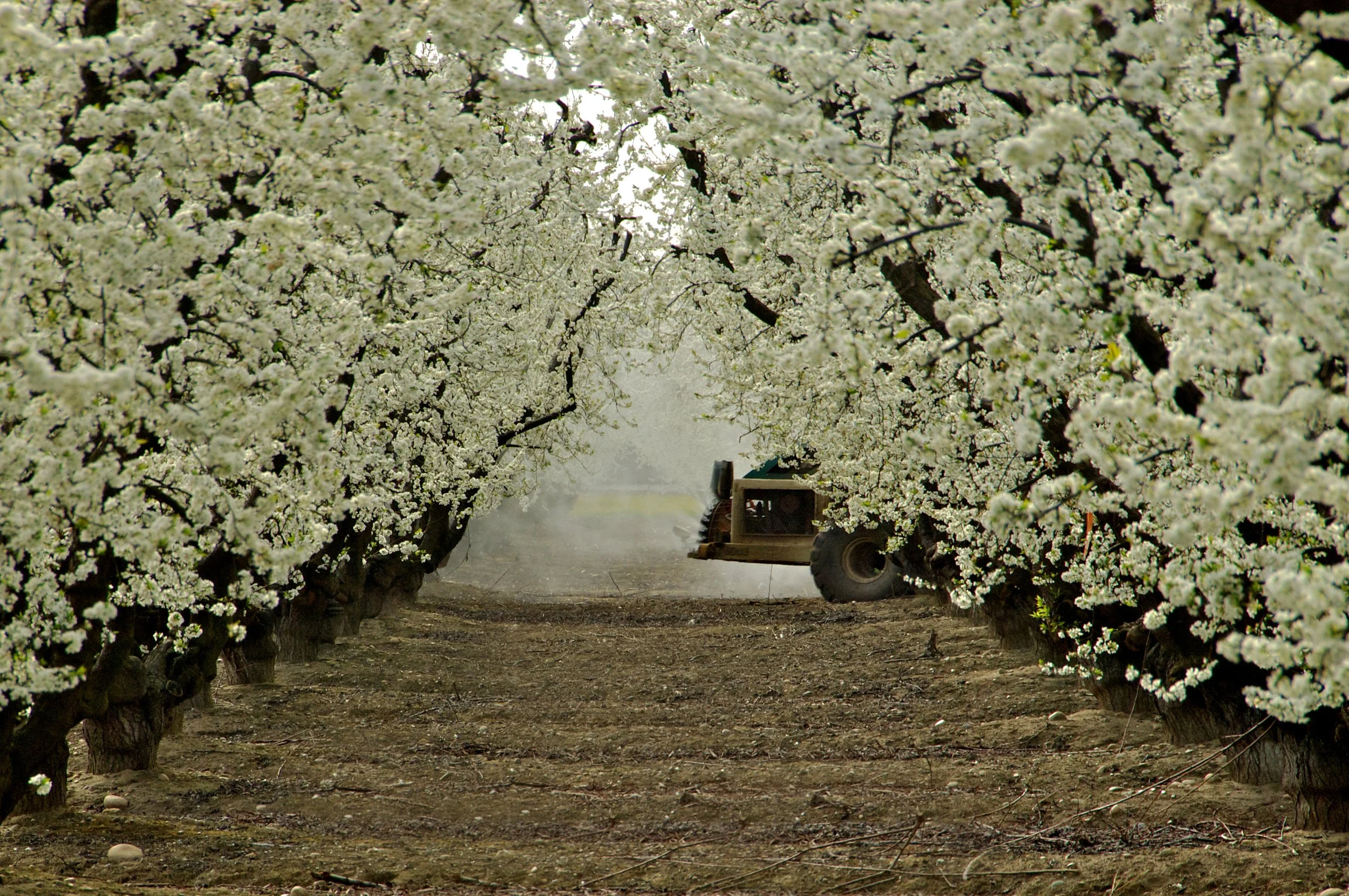 Ag & Industrial Enterprises