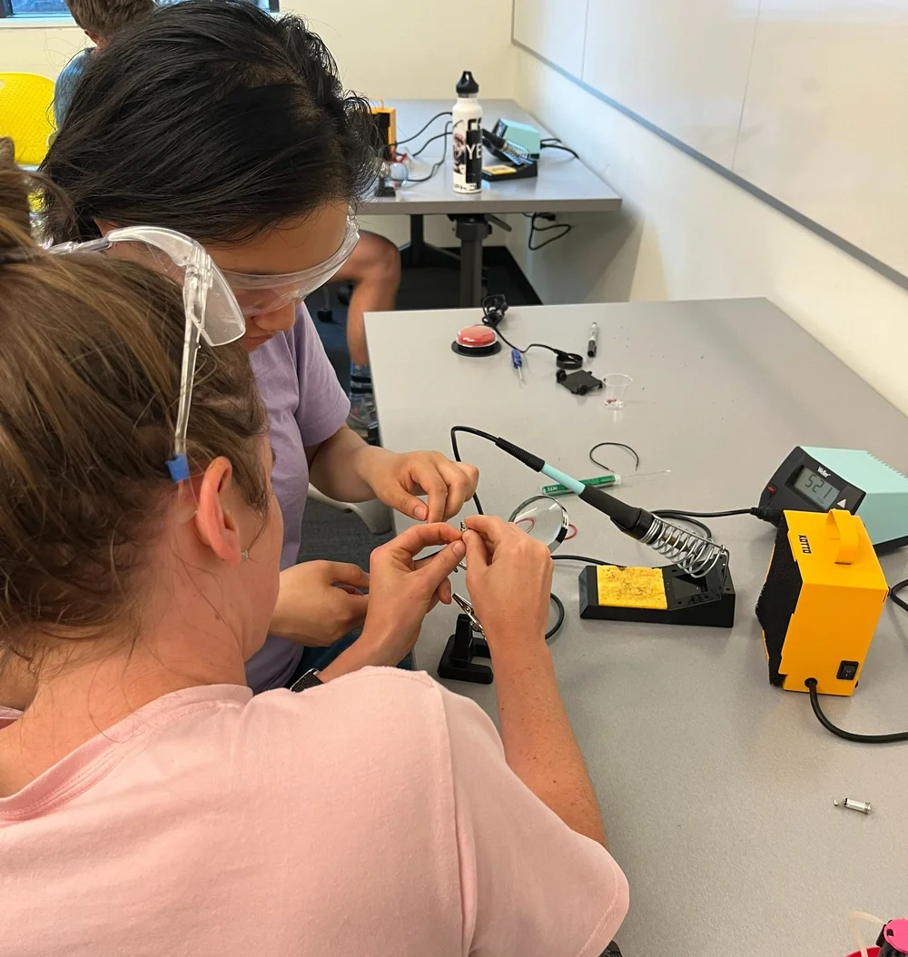 About Toy Adaptation — HuskyADAPT