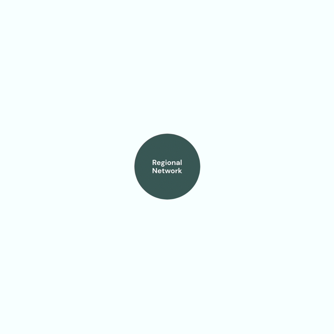 Doppler Veterinary Network — Contraire Design Studio