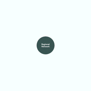 Doppler Veterinary Network — Contraire Design Studio