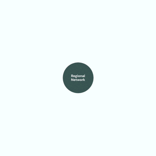 Doppler Veterinary Network — Contraire Design Studio