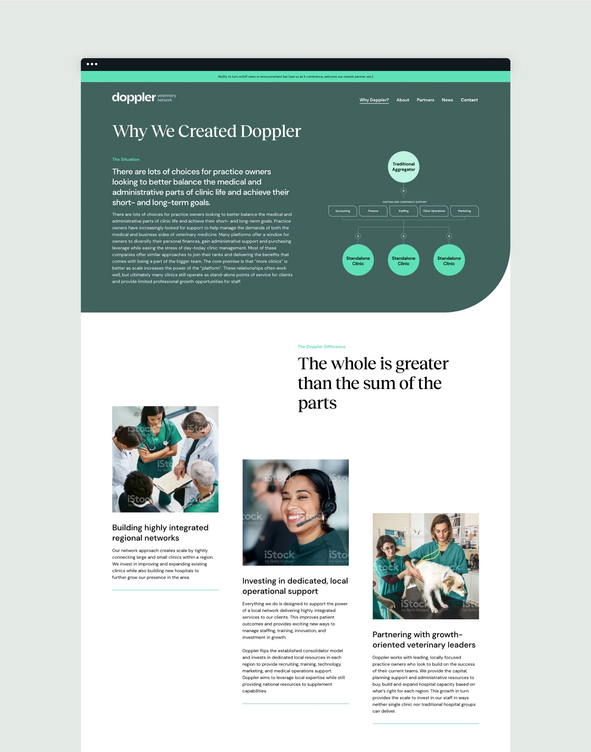 Doppler Veterinary Network — Contraire Design Studio