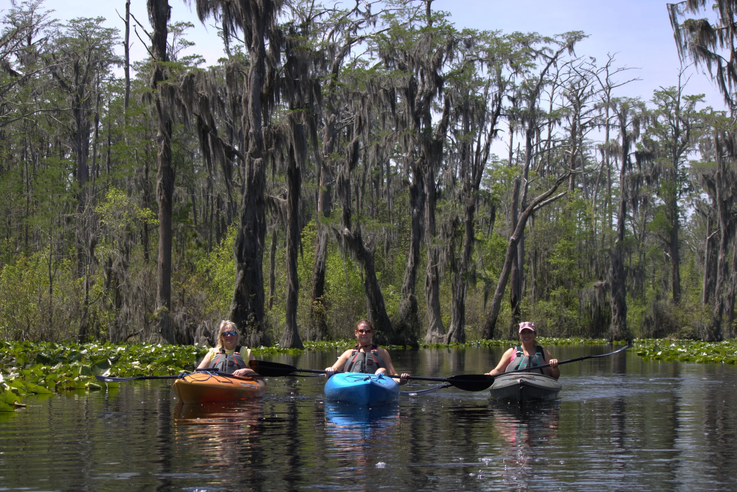 Private Guided Tours of the Okefenokee Swamp or Rivers of Southeast ...