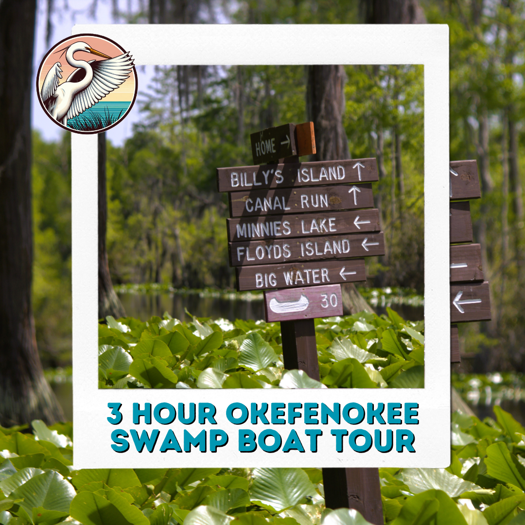 Okefenokee & Satilla Expeditions
