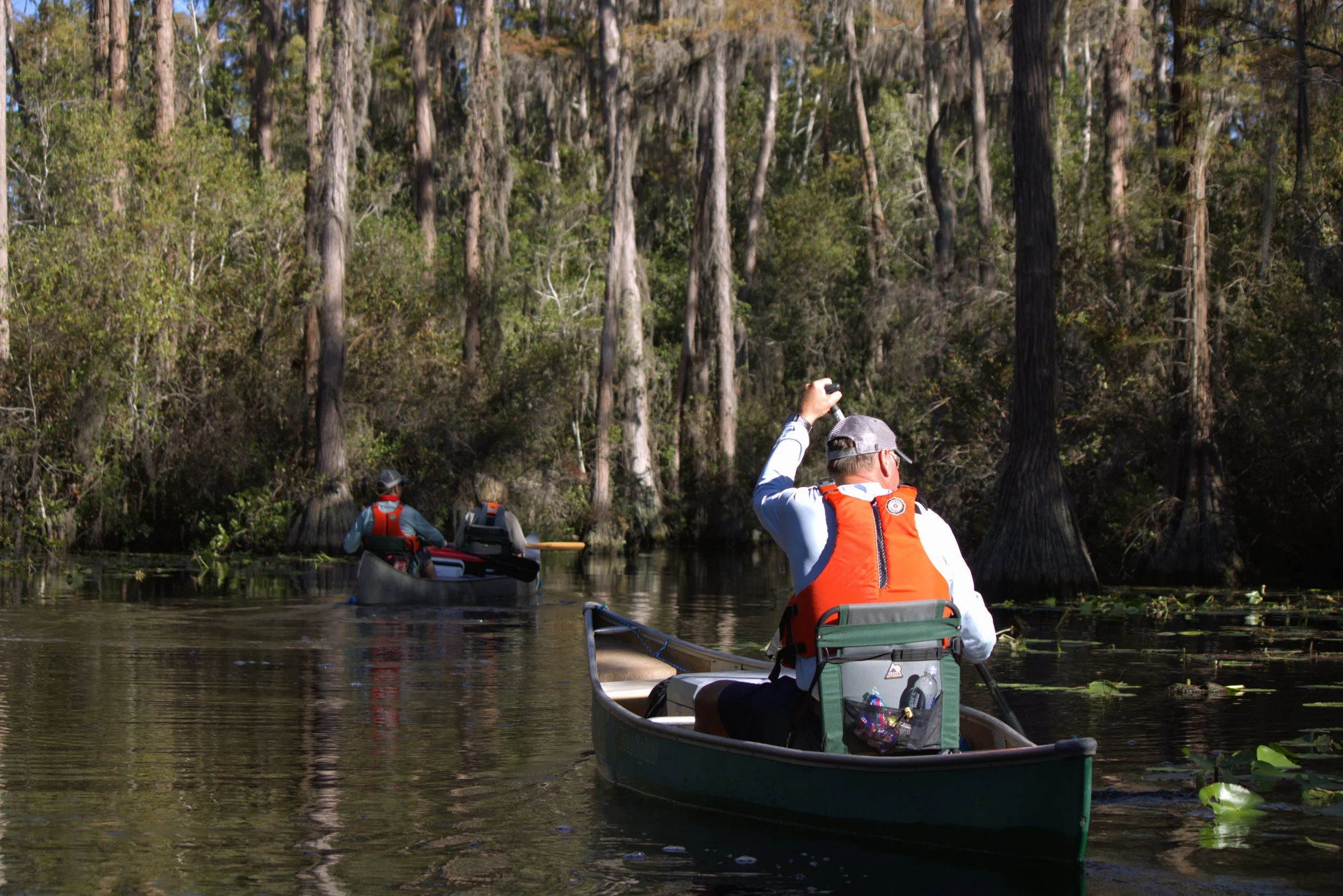 Private Guided Tours of the Okefenokee Swamp or Rivers of Southeast ...
