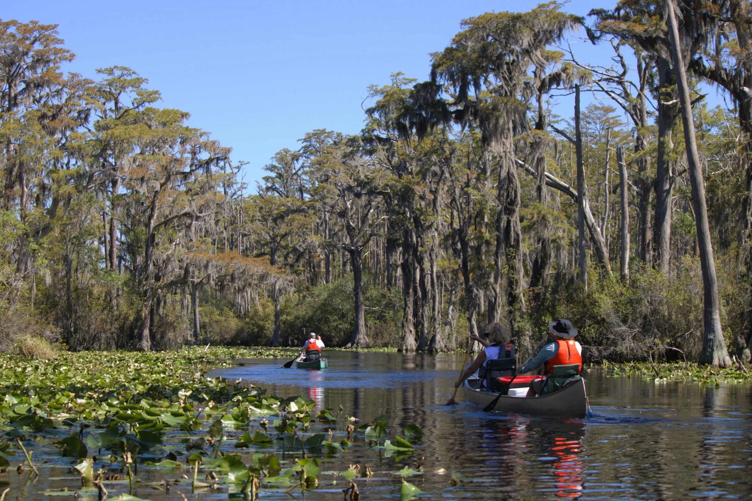 Okefenokee Satilla Expeditions