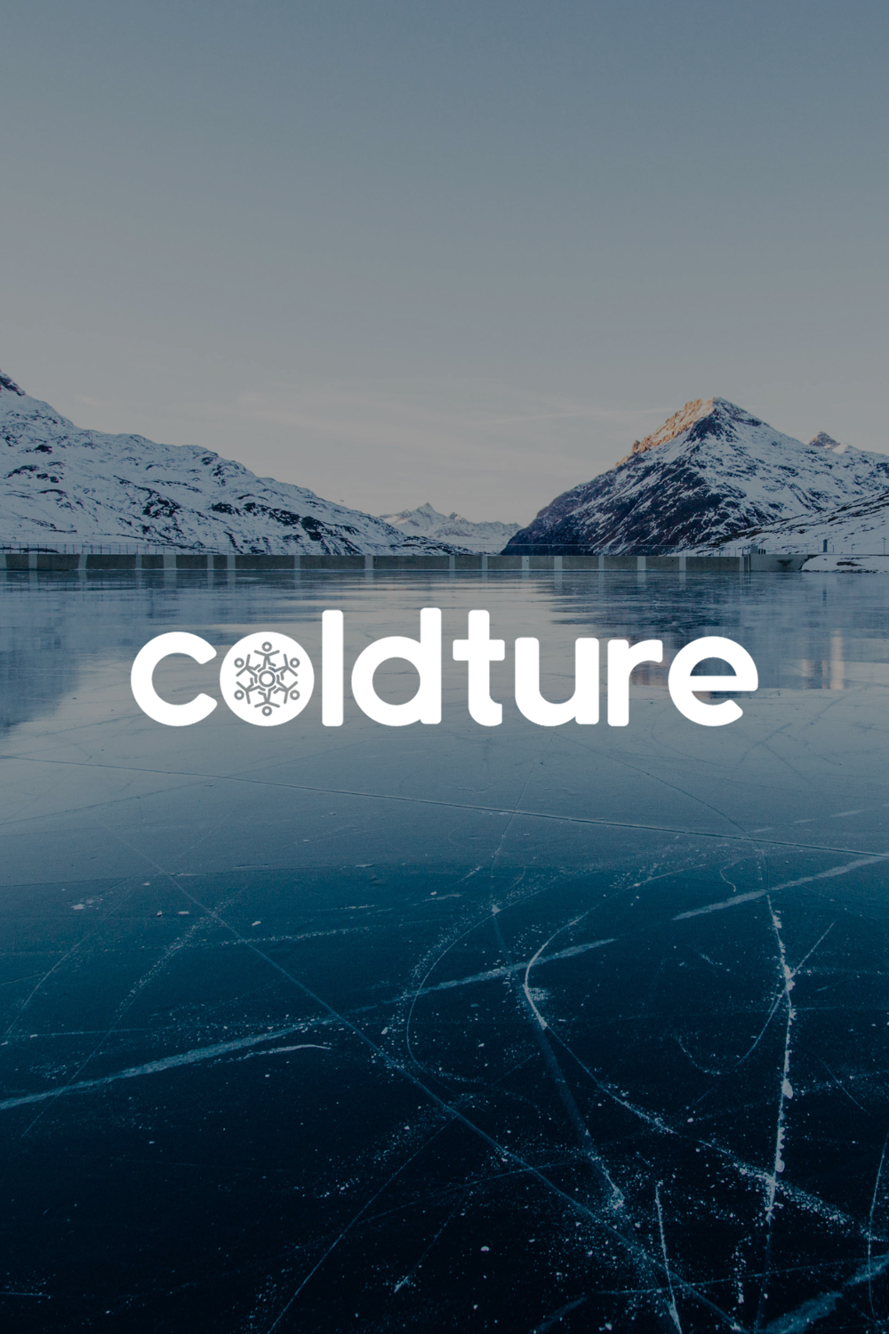 Our Work — The Frame Agency