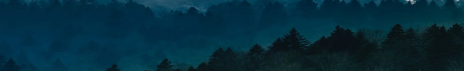 Lu'ma Development Management