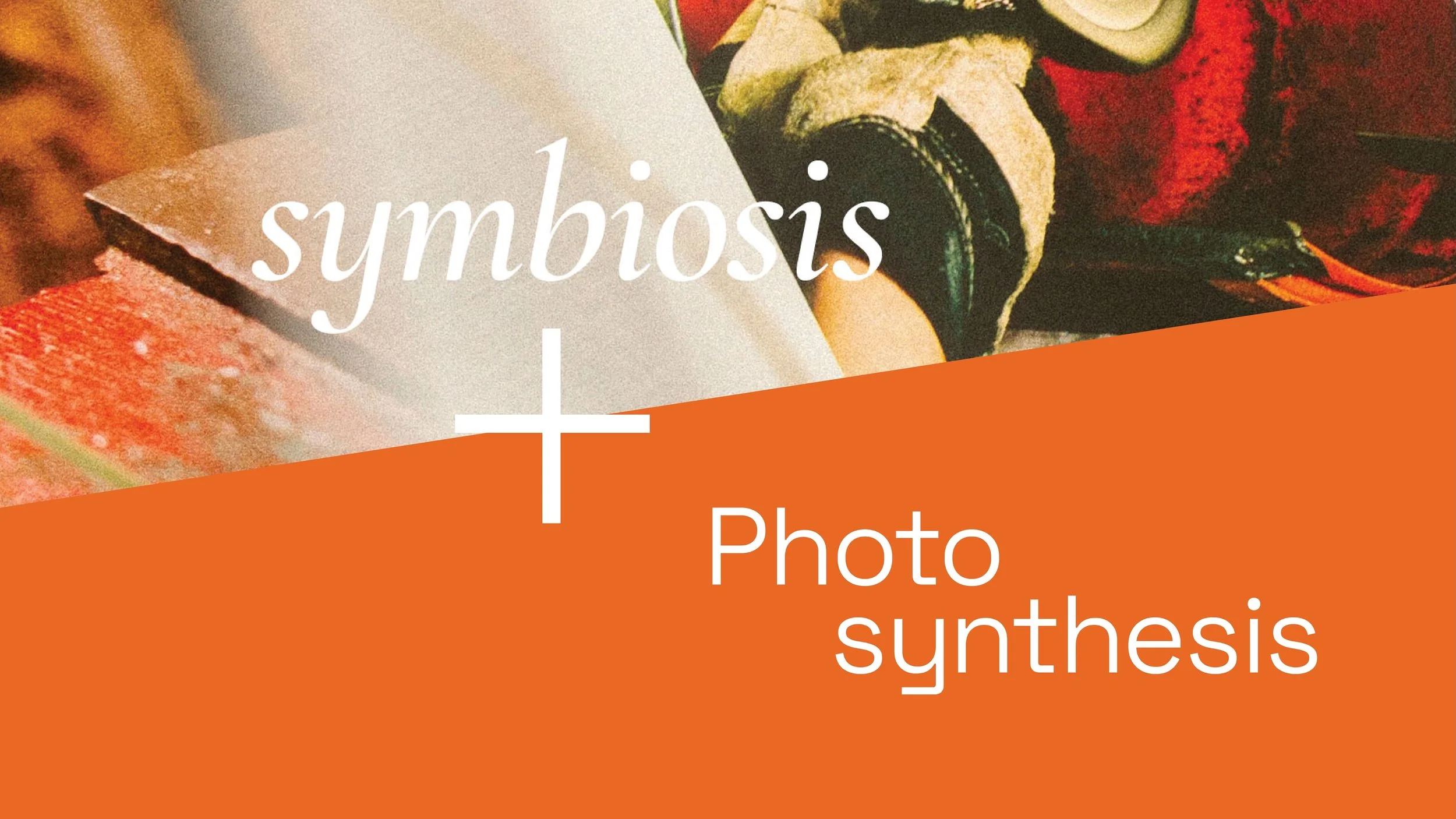 Symbiosis Rapid Exposure — Photosynthesis - Photo Community + Spaces ...