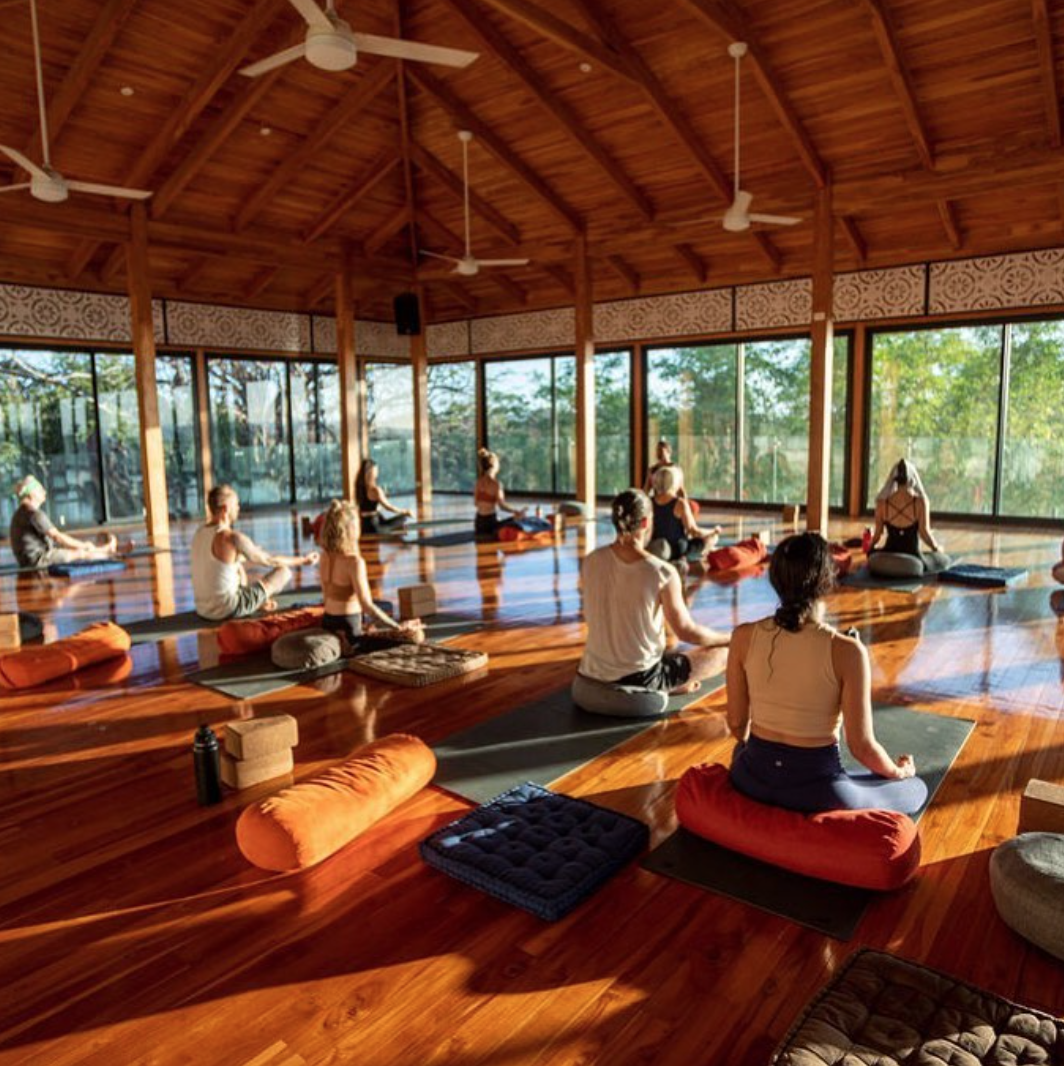 Retreats — Pure Yoga Ottawa