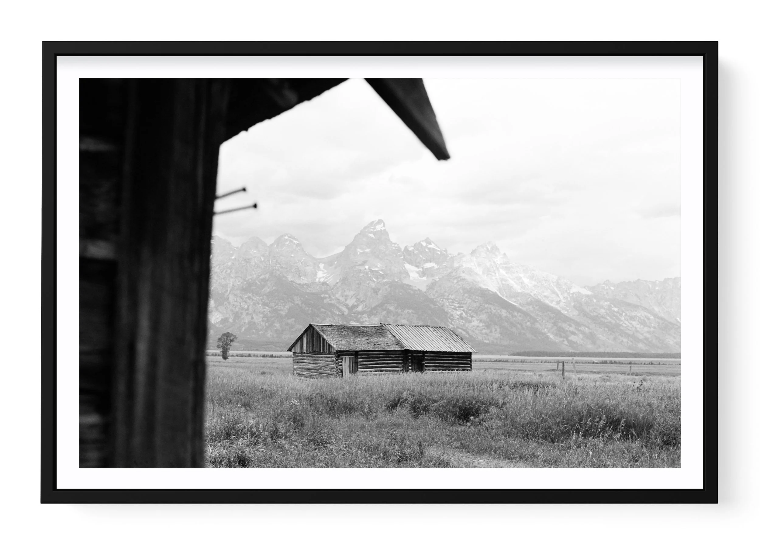 LLOYD PRINT STUDIO
