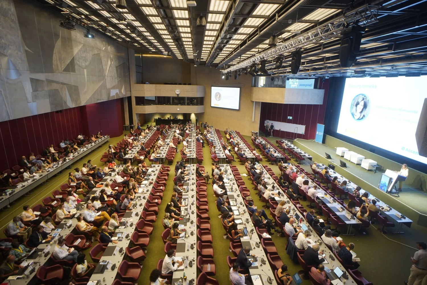 RACS boss in Geneva addressing UNHCR and delegates — RACS | Refugee ...