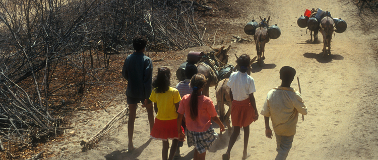 Climate refugees: the future for people displaced by climate change ...