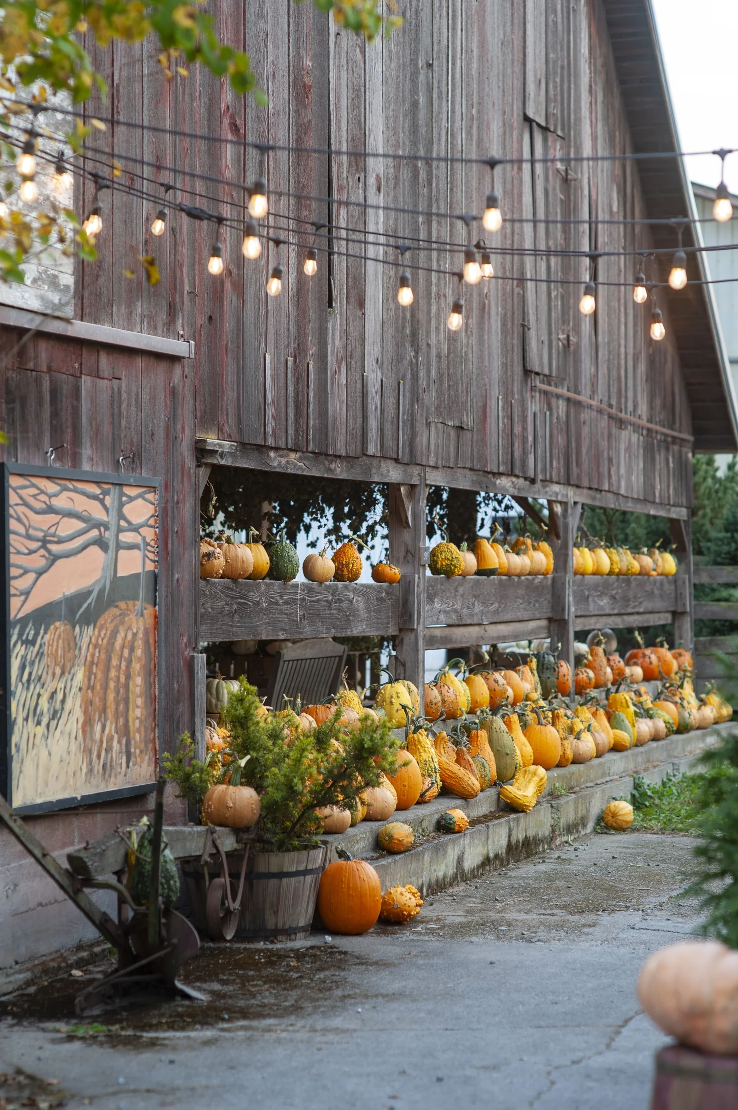 Gordon Skagit Farms