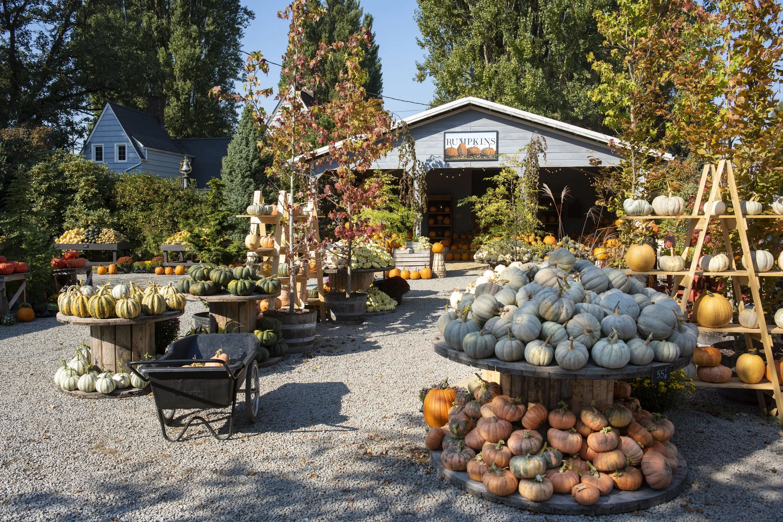 About us — Gordon Skagit Farms