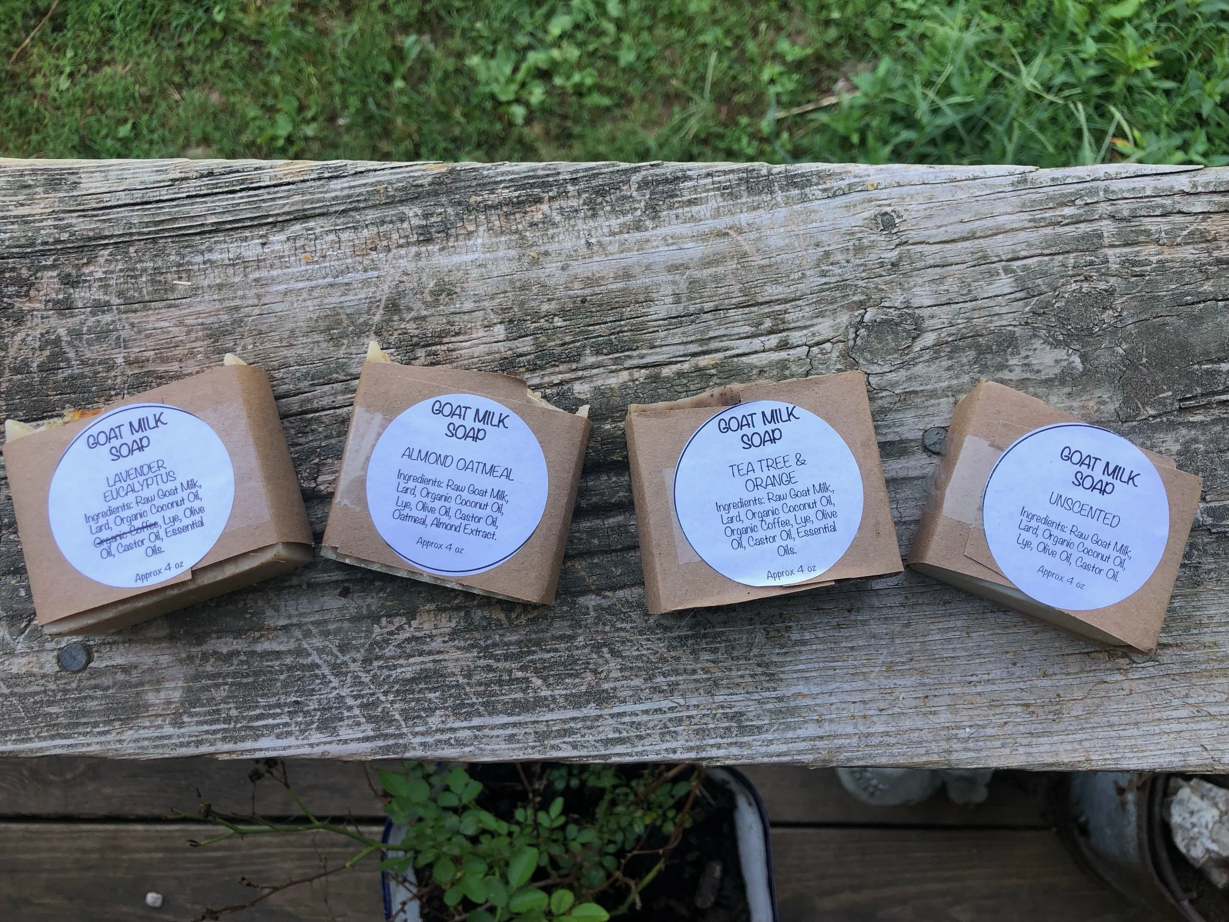 Shop — New Morning Farms