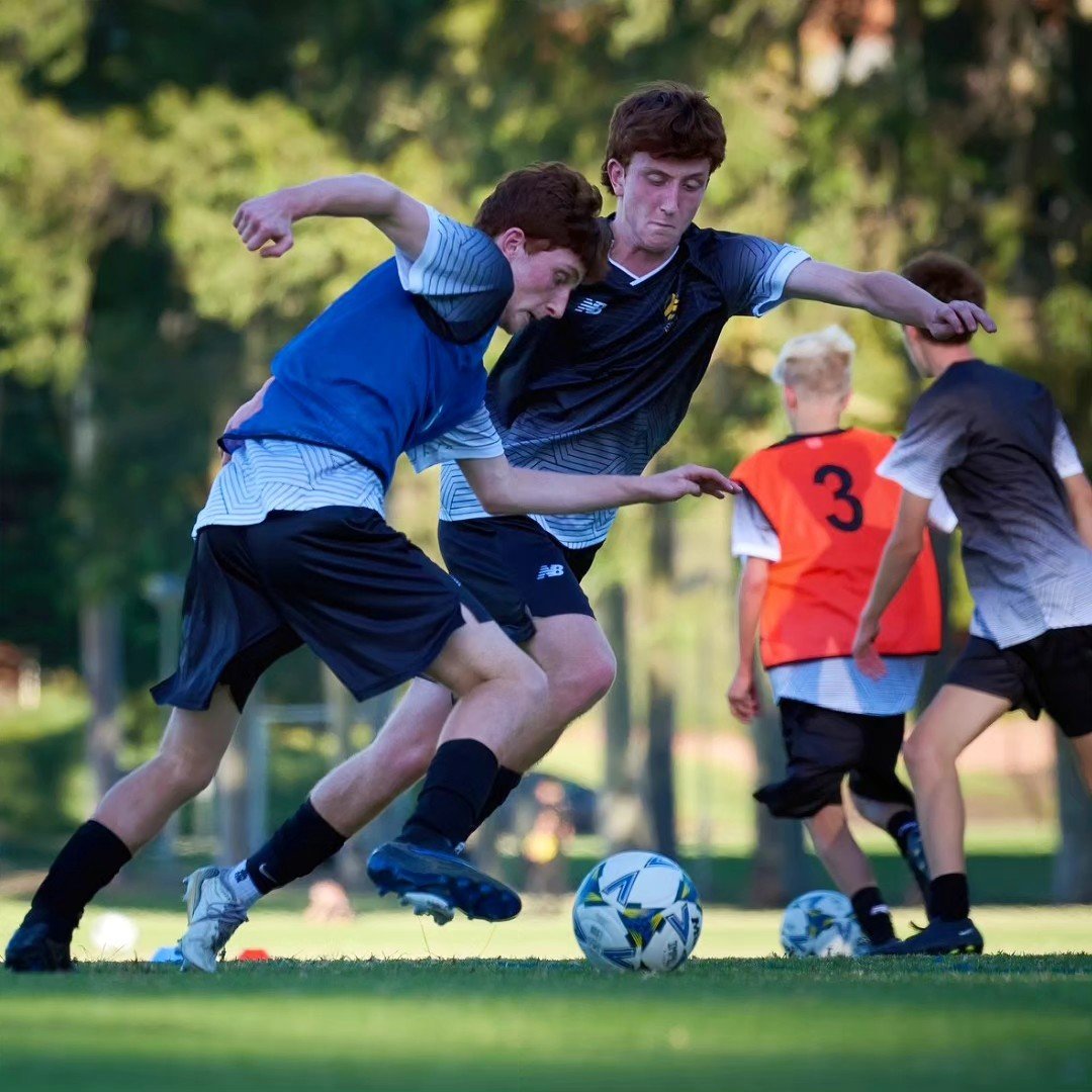 Our Athletes — Great Southern Academy of Sport