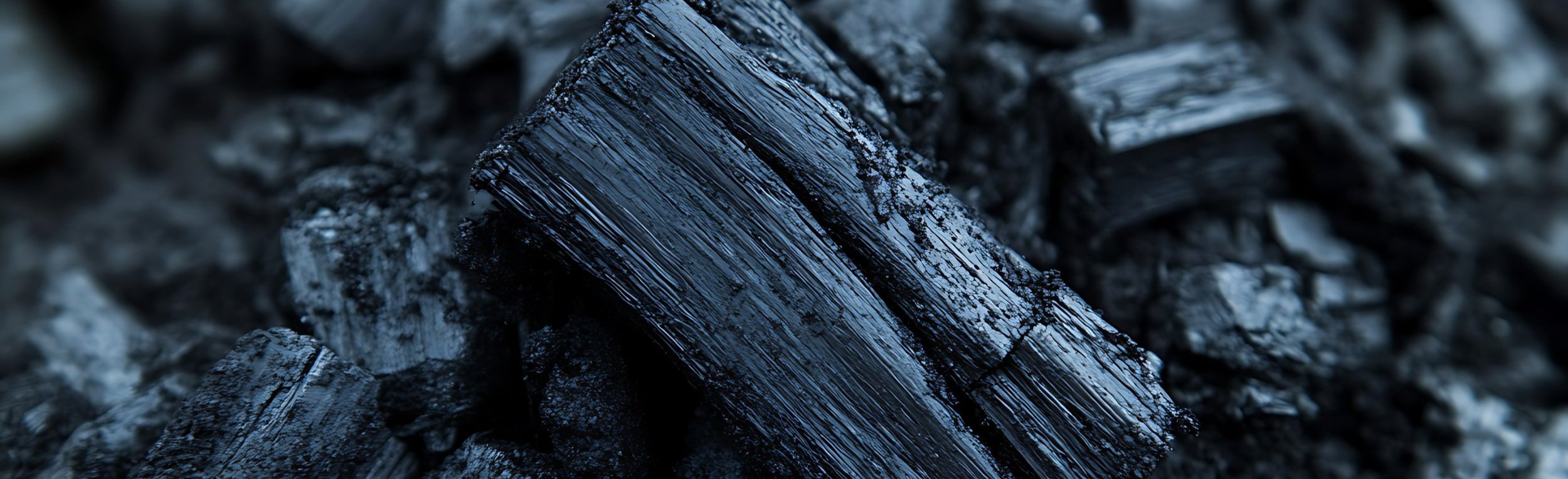 How Biochar & Effective Microorganisms (EM) Supercharge Soil Health ...