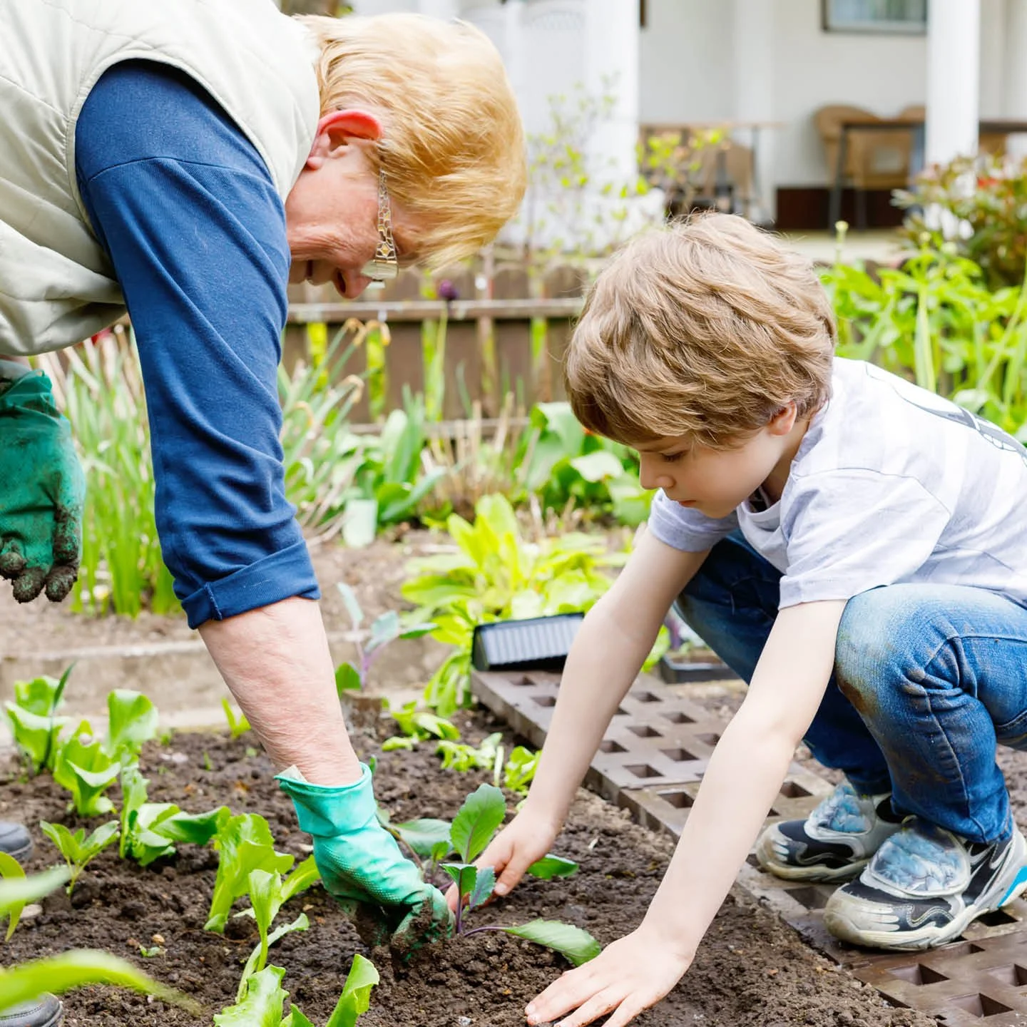 Grow Food & Heal the Planet: Regenerative Gardening for Earth Day (and ...