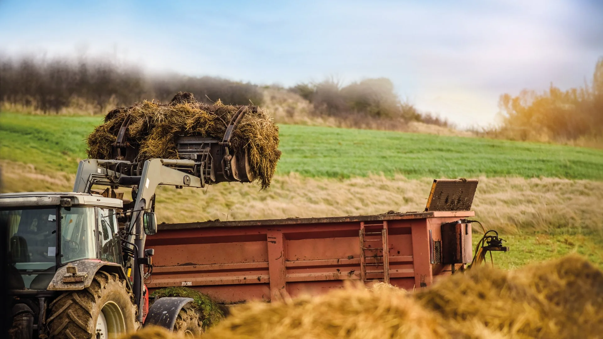 Bokashi: Harnessing Nature's Efficiency for Sustainable Manure ...