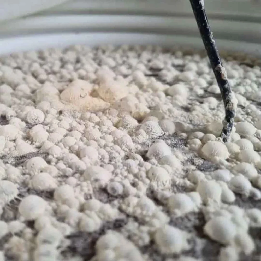 Optimize Your Fermentation Process with a Fermenter Equipped with ...