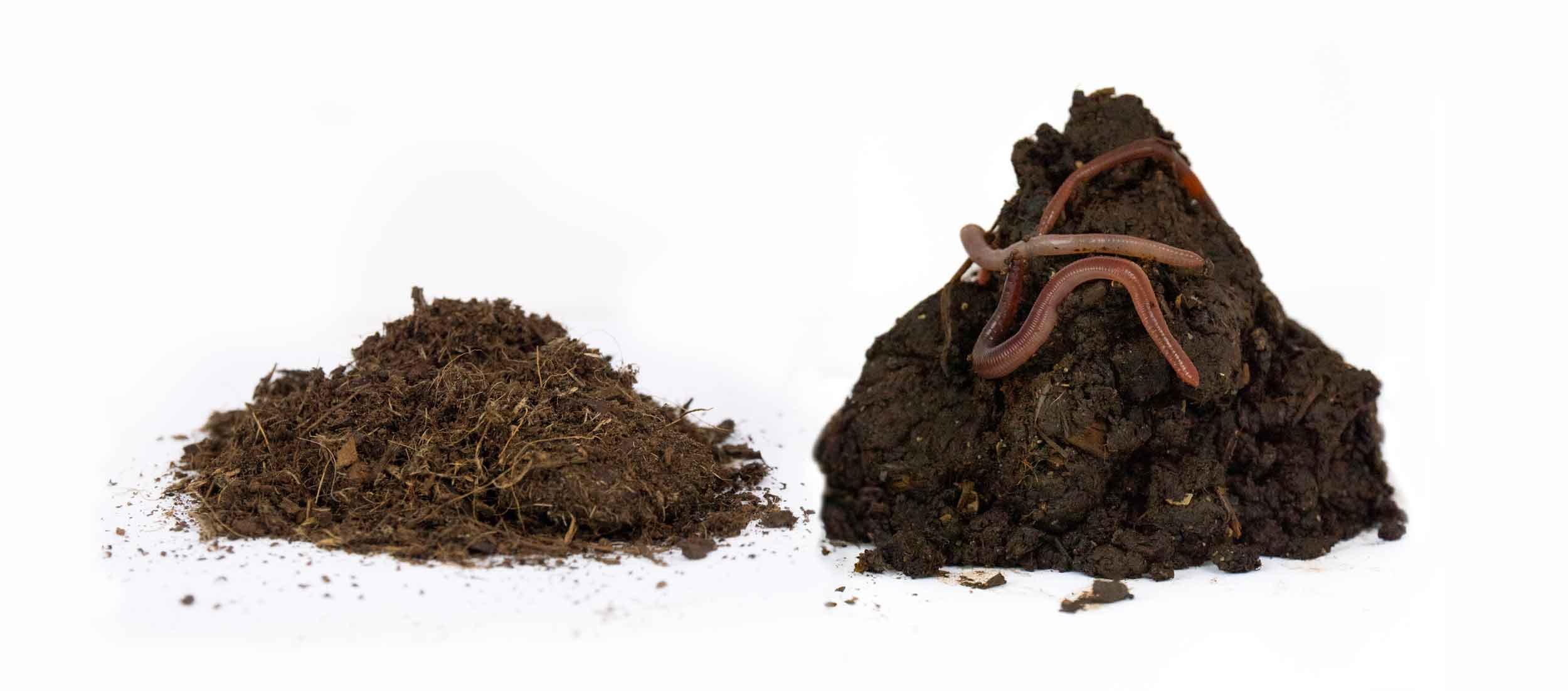 Enhance Soil Health with Bokashi: The Ultimate Organic Fermentation ...