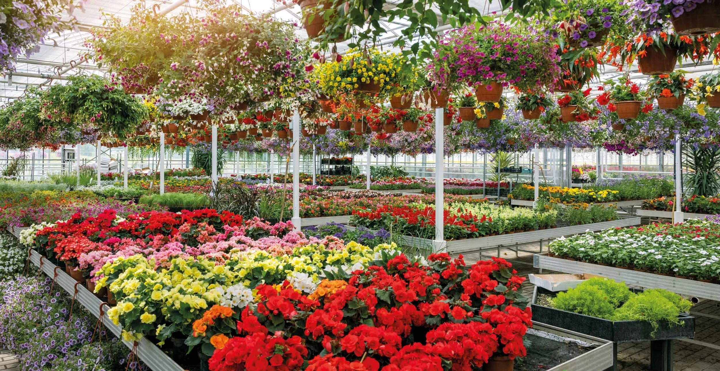 Unlocking Opportunities: The World of Market Gardening — Green ...