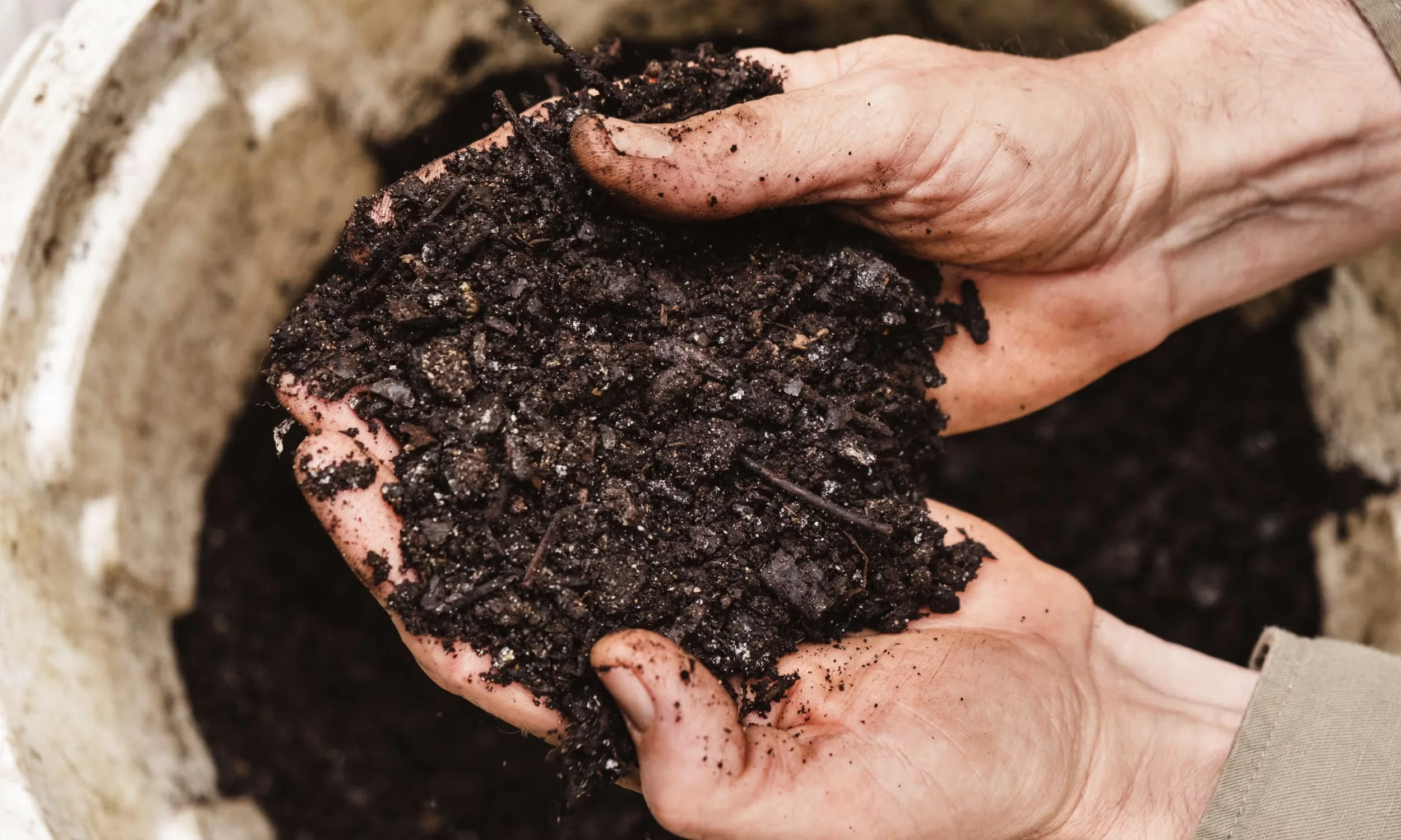 Innovative Composting Project Turns Food Waste into Valuable Fertiliser ...