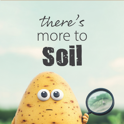 World Soil Day: How Healthy Soils Sustain Life and Fight Climate Change ...