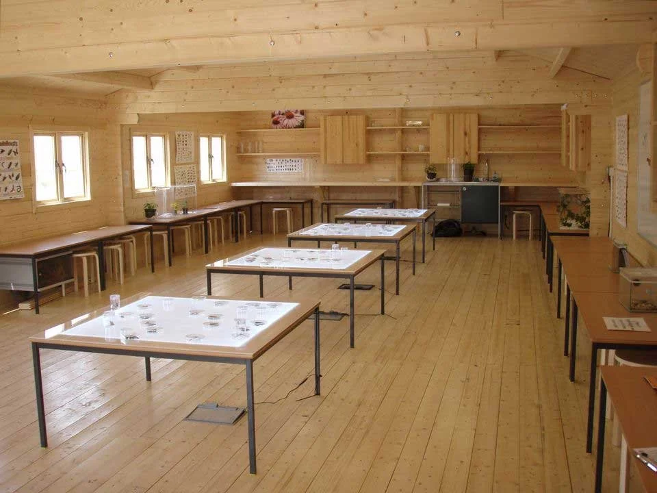 How Timber Classrooms Benefit Students — Keops