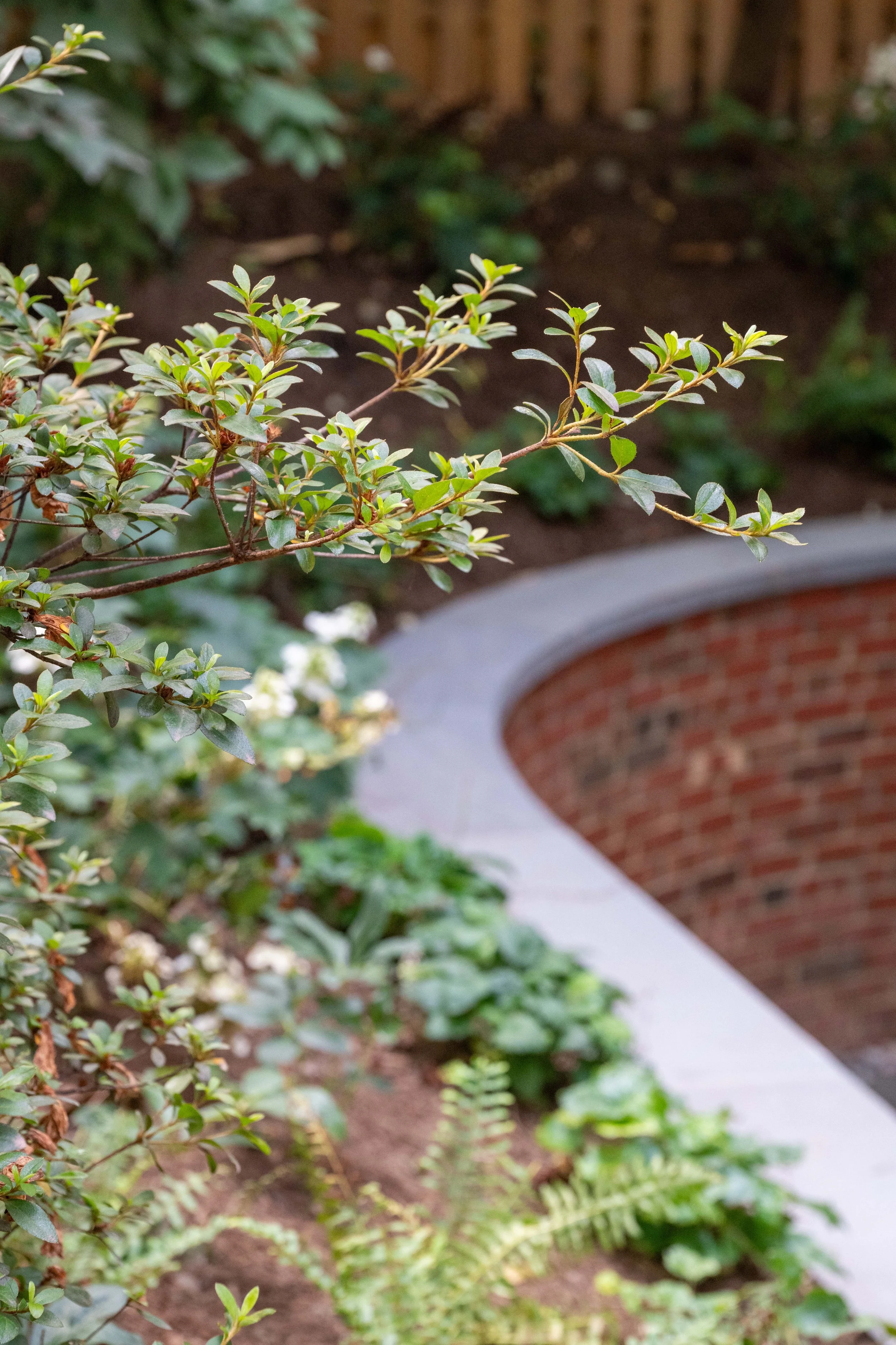 StudioAKA | Landscape Architecture for Your Unique Story