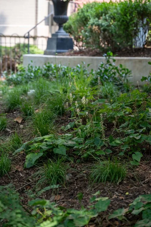 Logan Circle Residence | A Masterpiece of Landscape Architecture ...
