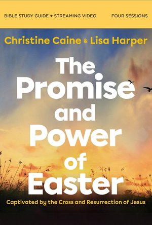 LISA HARPER — Store