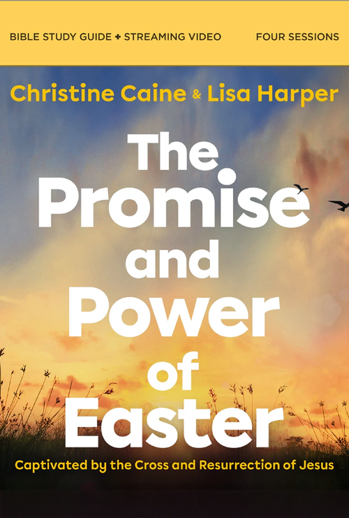 LISA HARPER — Store