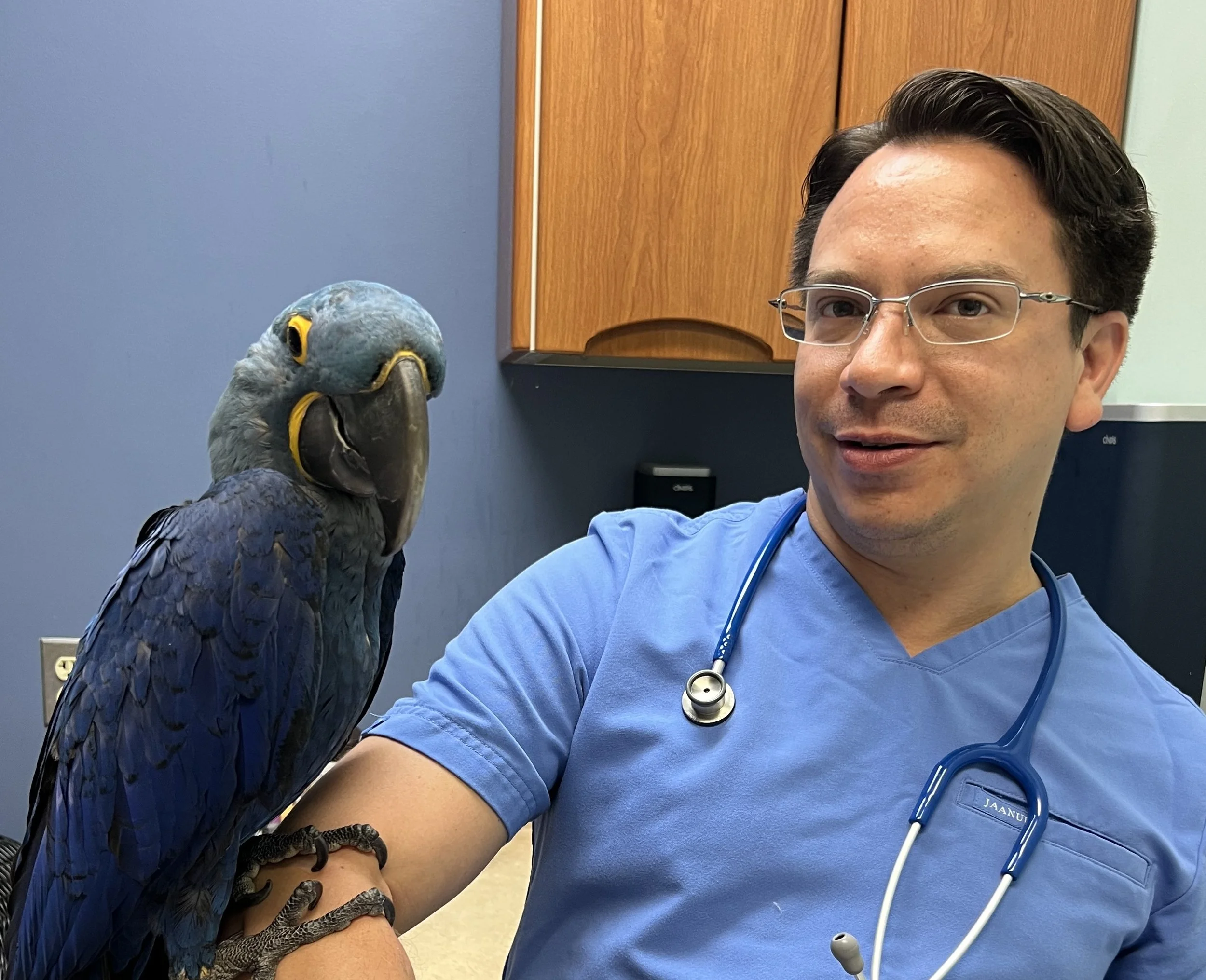 Lucks Lane Veterinary Clinic | Nurturing Happiness