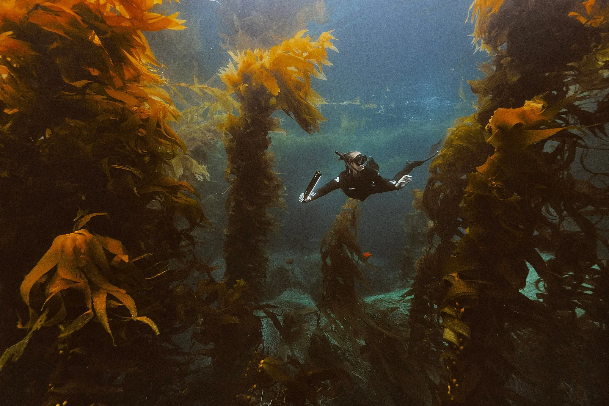 DIVE CHANNEL ISLANDS - Store